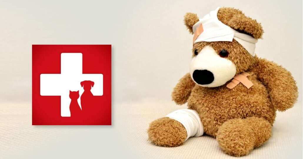 The Basics of Pet First Aid