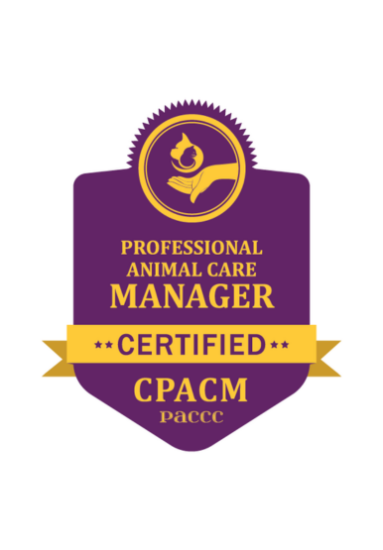 About Us About Beds-N-Biscuits | Beds-N-Biscuits